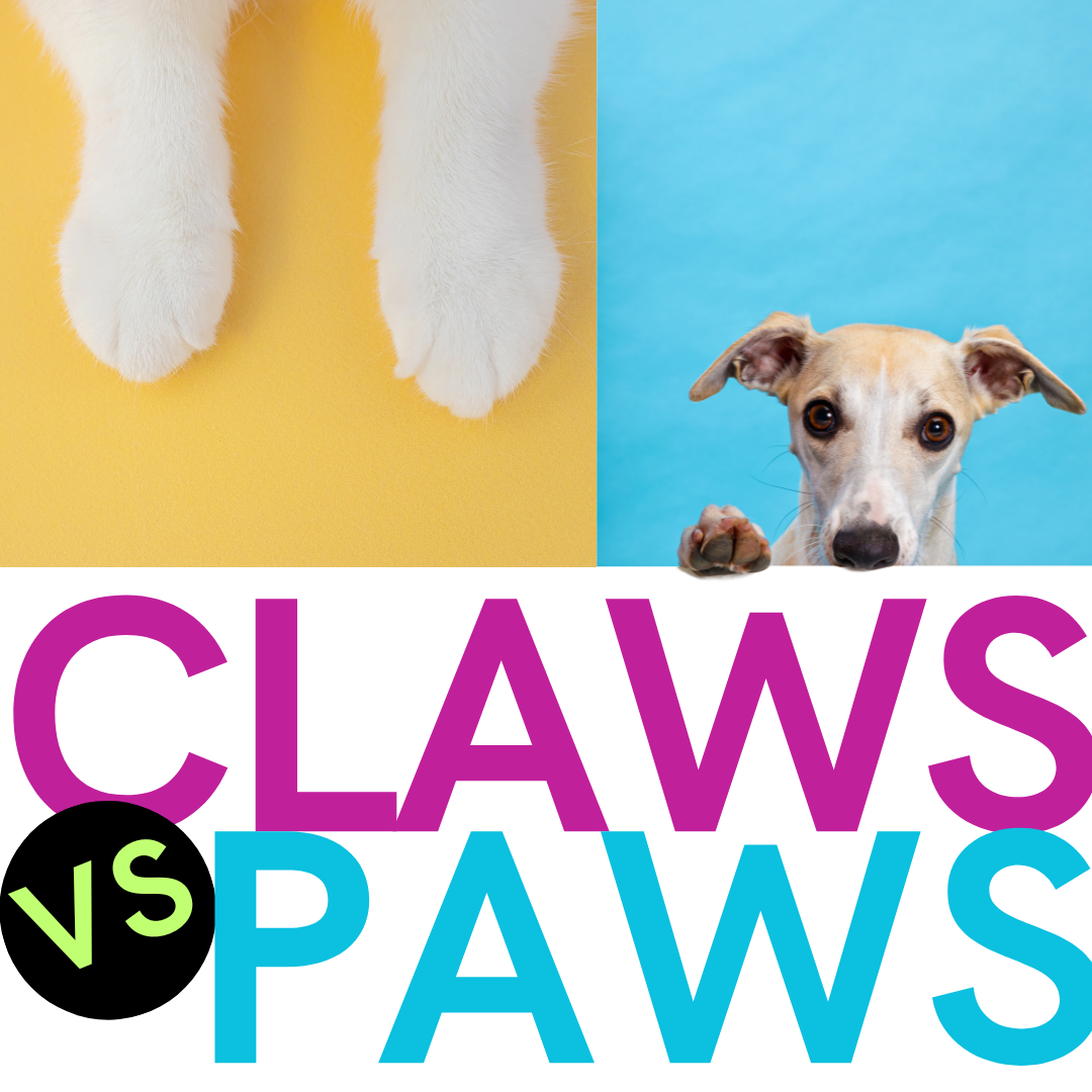 Open Calls – The Art Garage